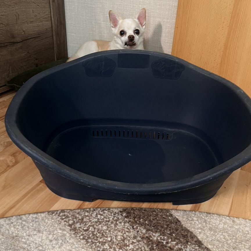 Лежанка для собак