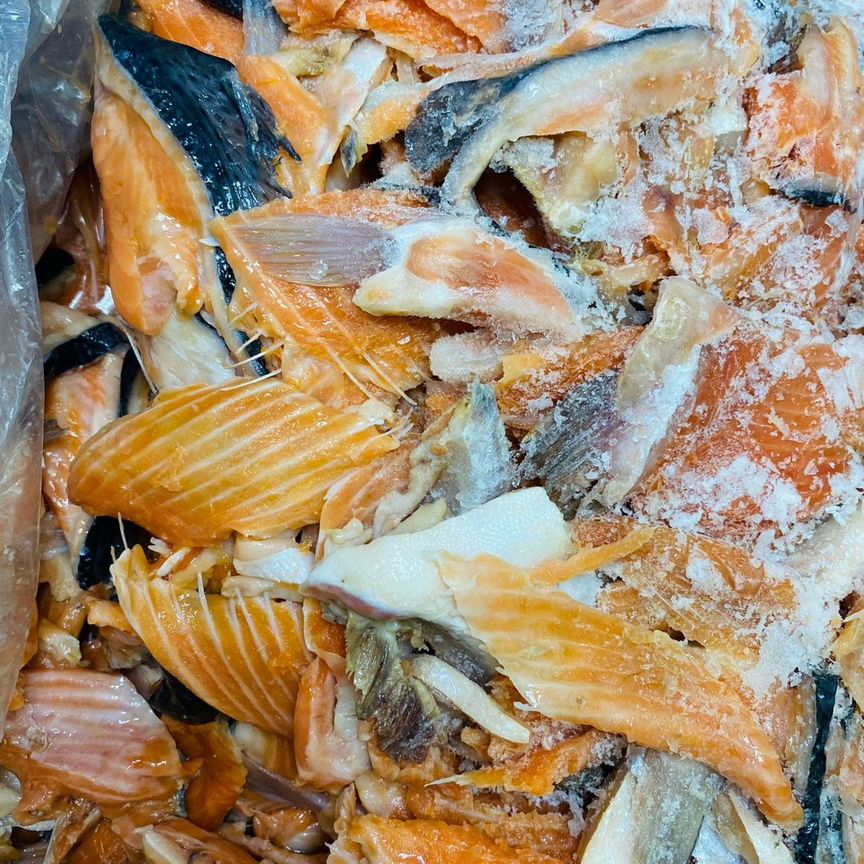 Обрезь красной рыбы