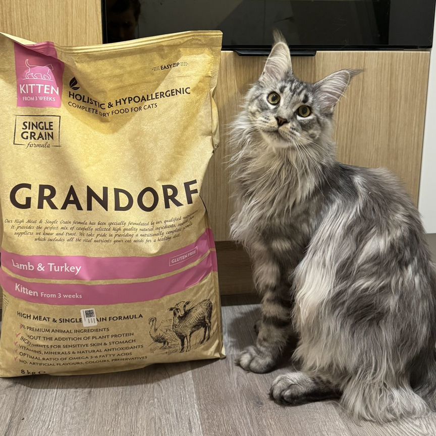 Корм для котят grandorf 6 кг