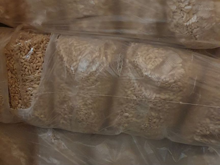 Продам крупы на корм животным