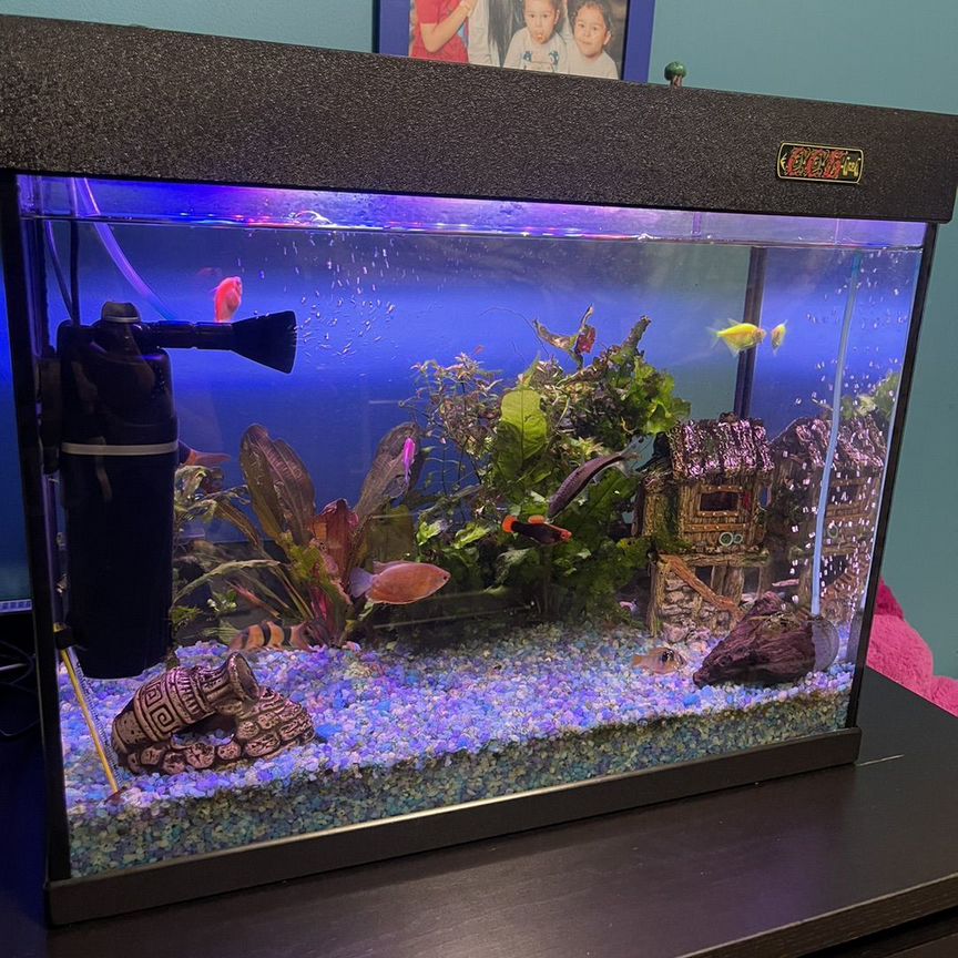 Аквариум