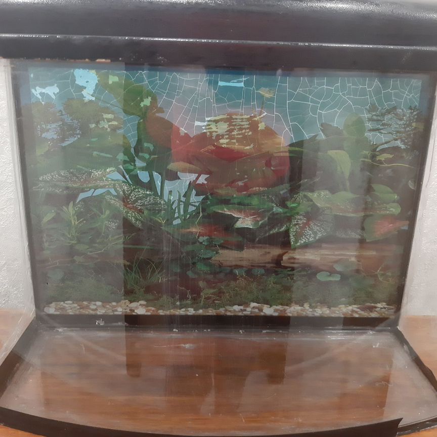 Аквариум 25 литров