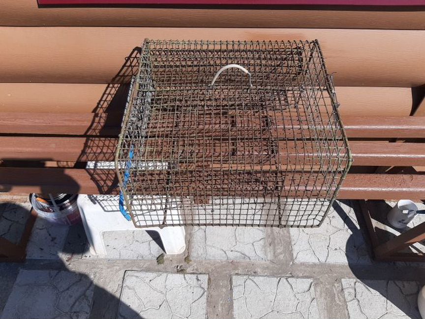 Клетка для перепелок бу