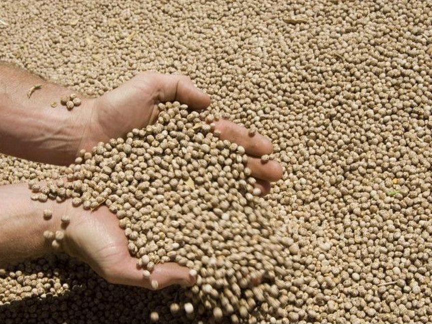 Корм для коз