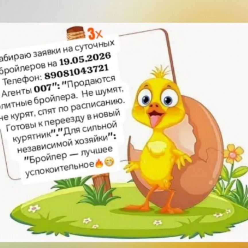 Продажи 3х суточных бройлеров