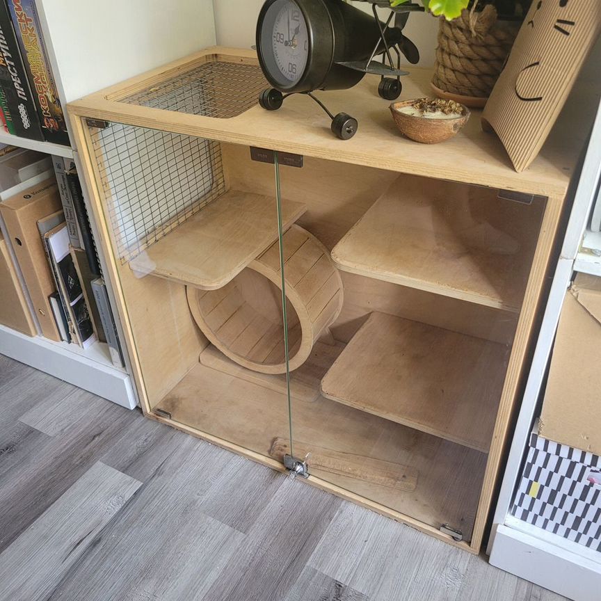 Витрина для дэгу