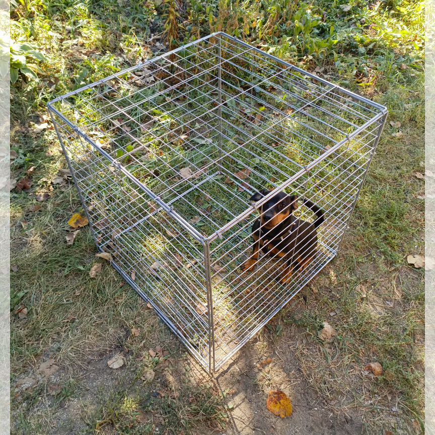 Клетка вольер для собак бу