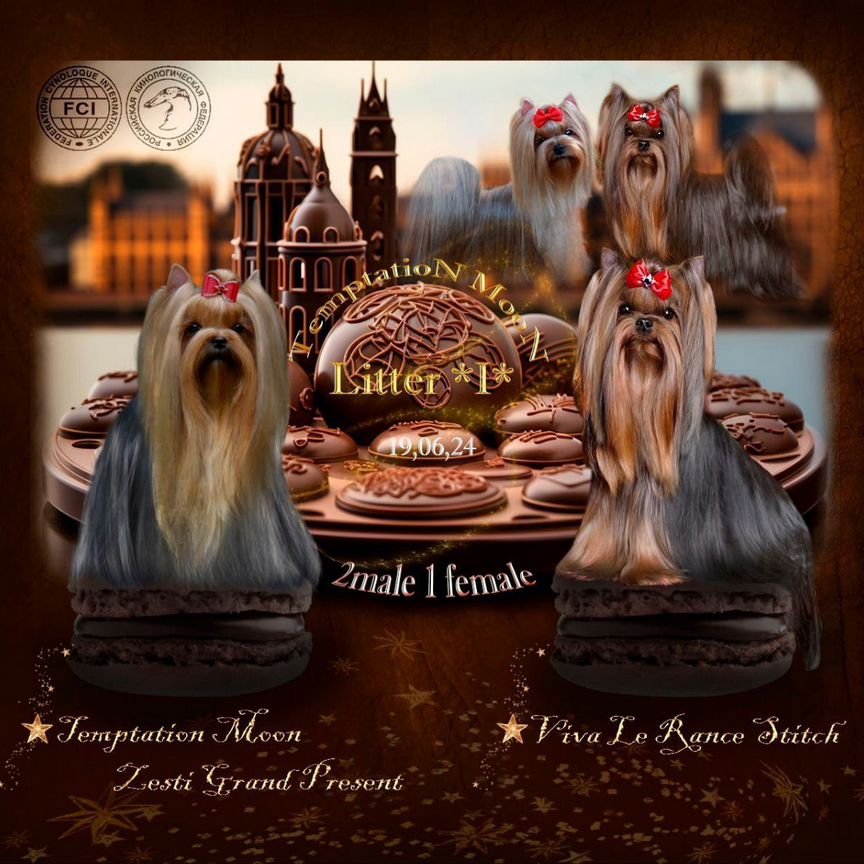 Щеночки йорка