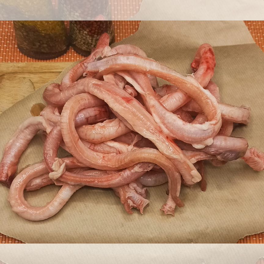 Трахея индейки