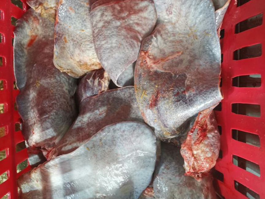 Все для ваших питомцев