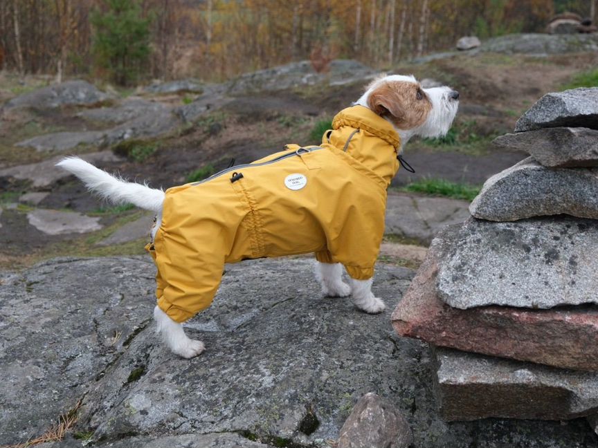 Дождевик для собак armoreddog