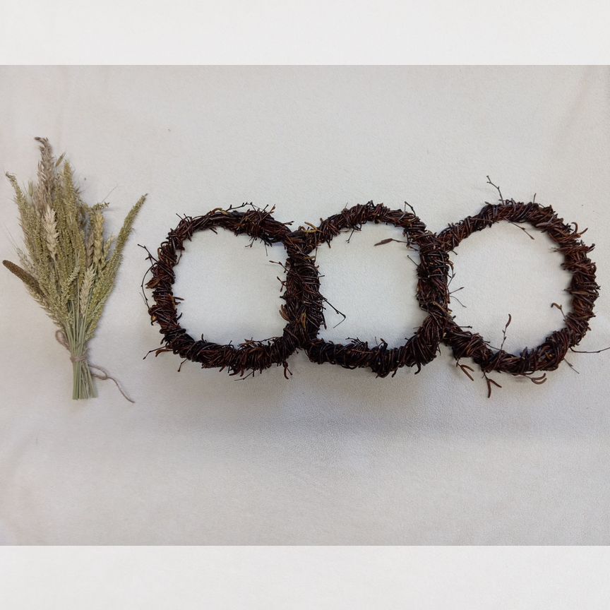 Кольца из берёзы для попугая