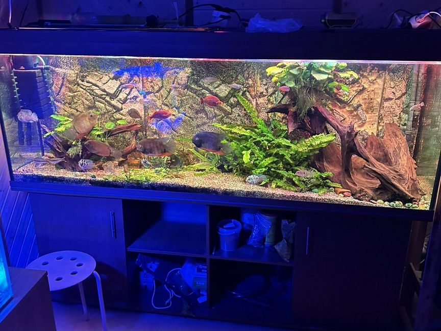 Аквариум с тумбой 750 литров