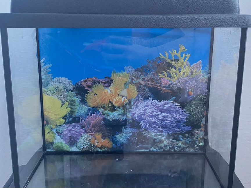 Аквариум с фильтром