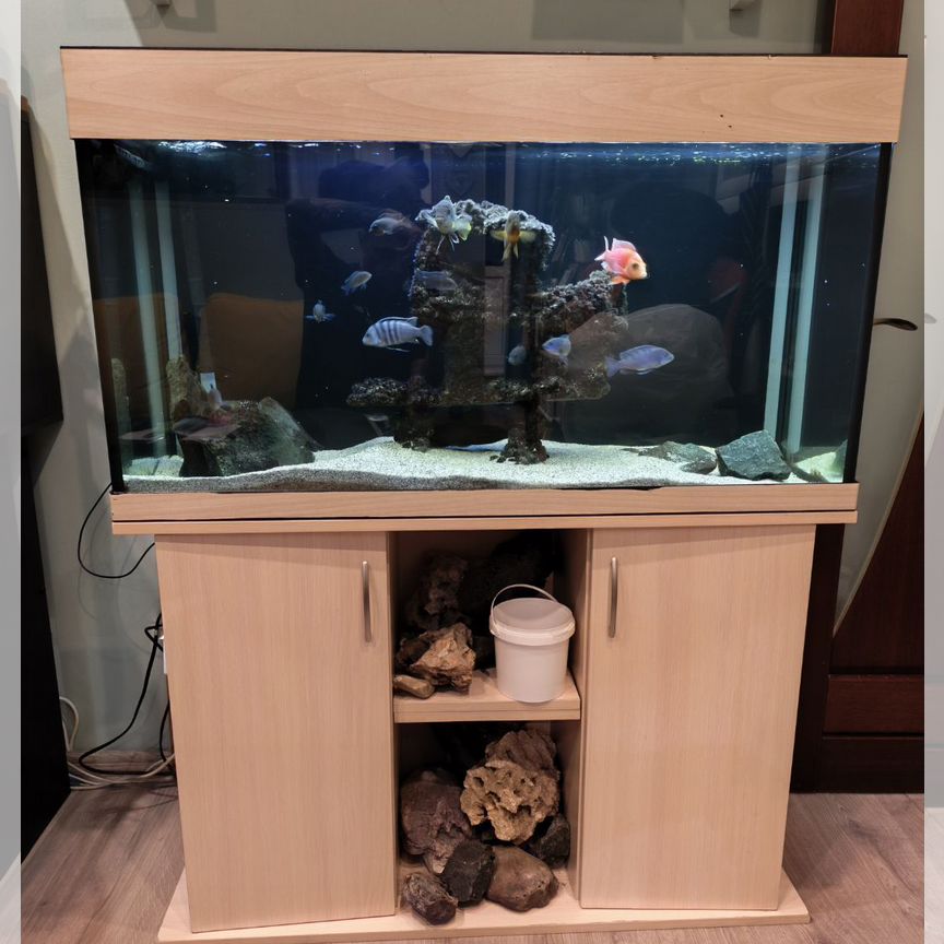 Аквариум с тумбой и рыбками