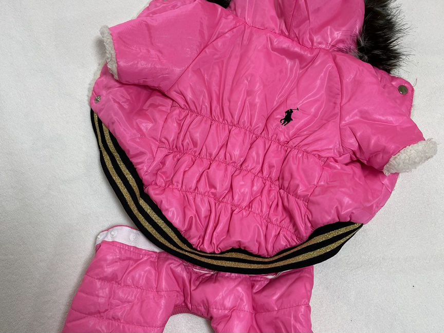 Одежда для собак мелких пород