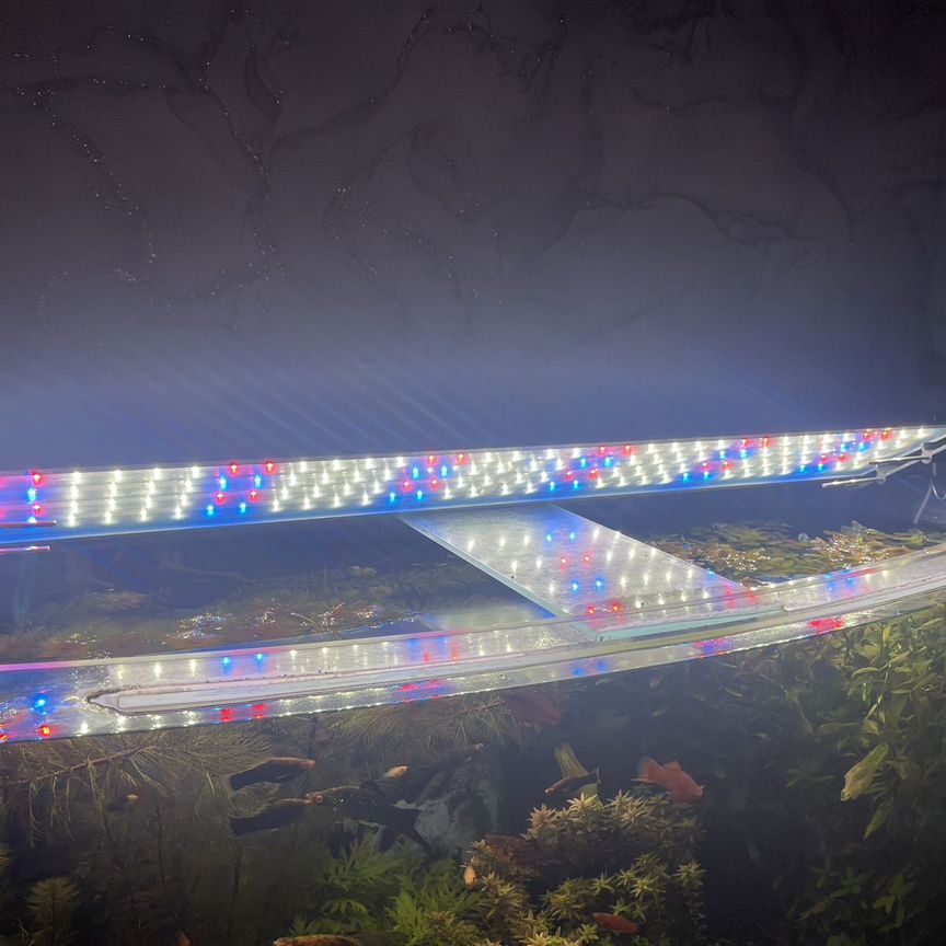 Аквариумный свет для травника, уф стерелизатор