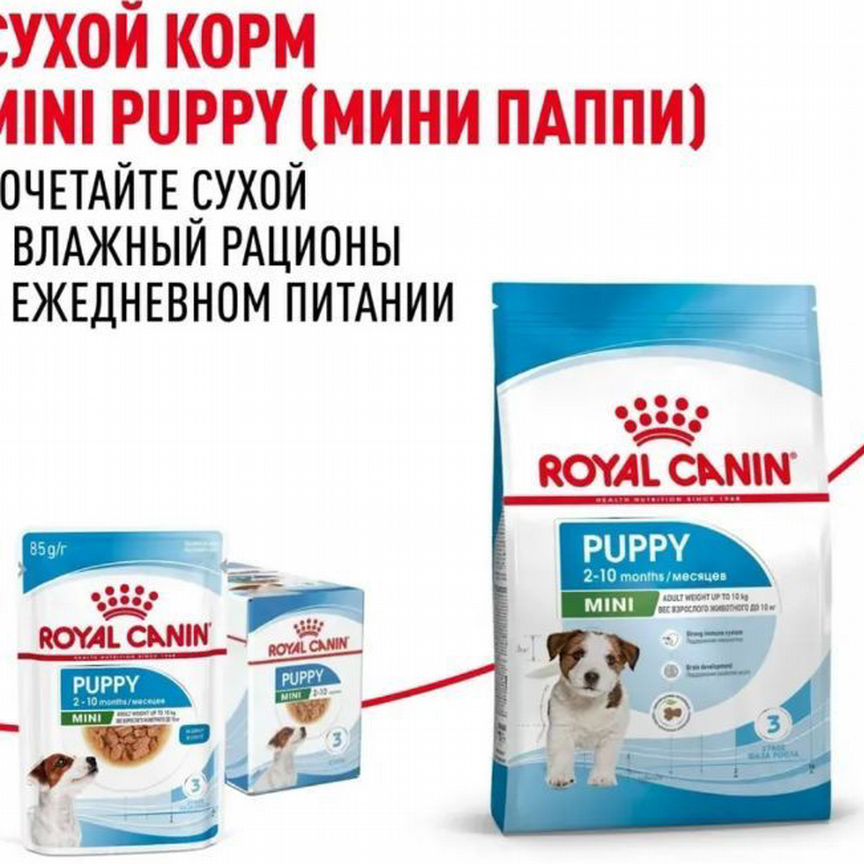 Корм для собак