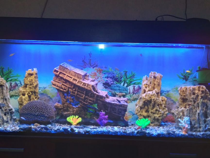 Аквариум с тумбой 300 литров