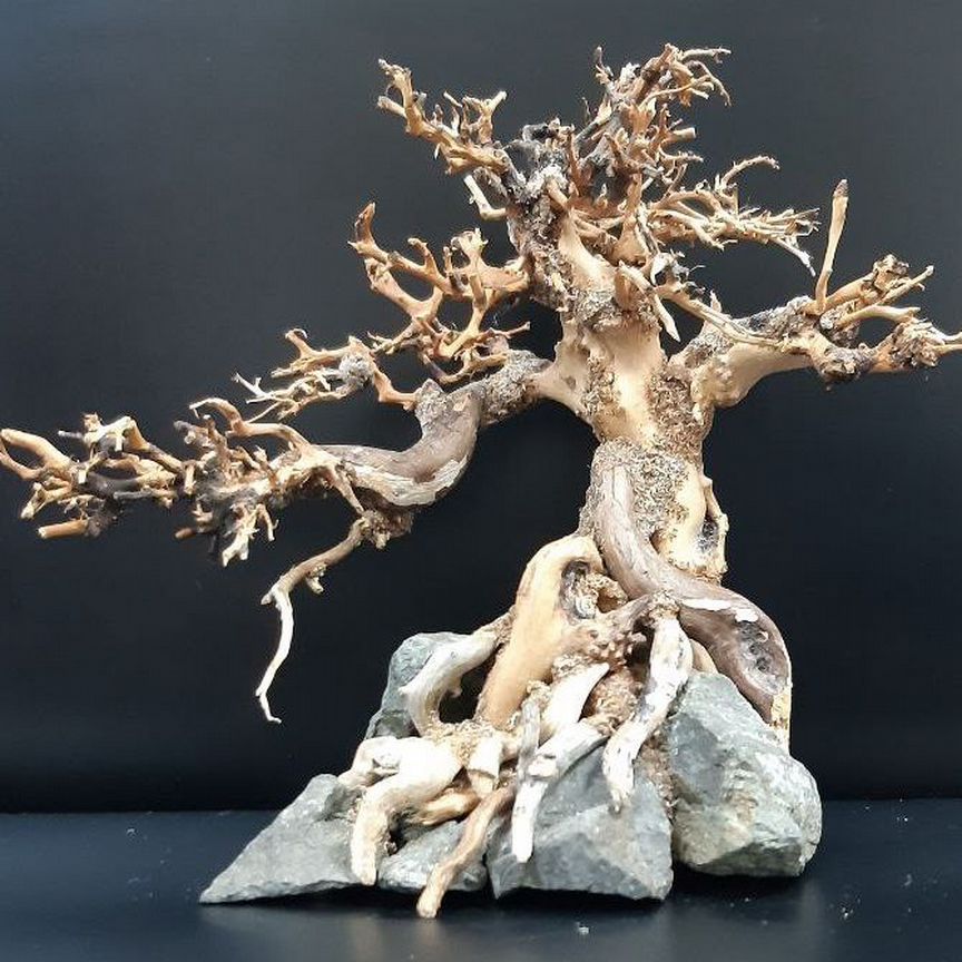 Коряга "Бонсай" 18х13х16см