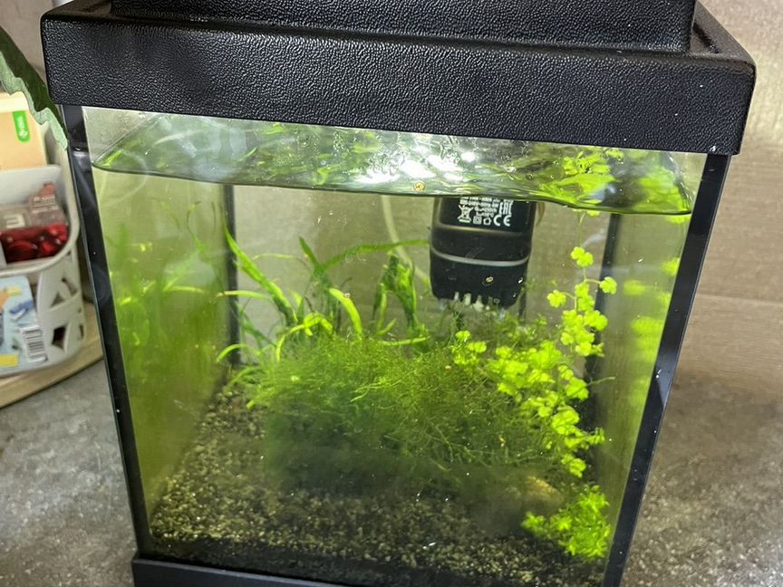 Наноаквариум Gessa на 10 литров