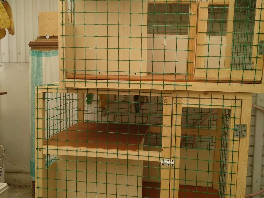 Вольер для кошек