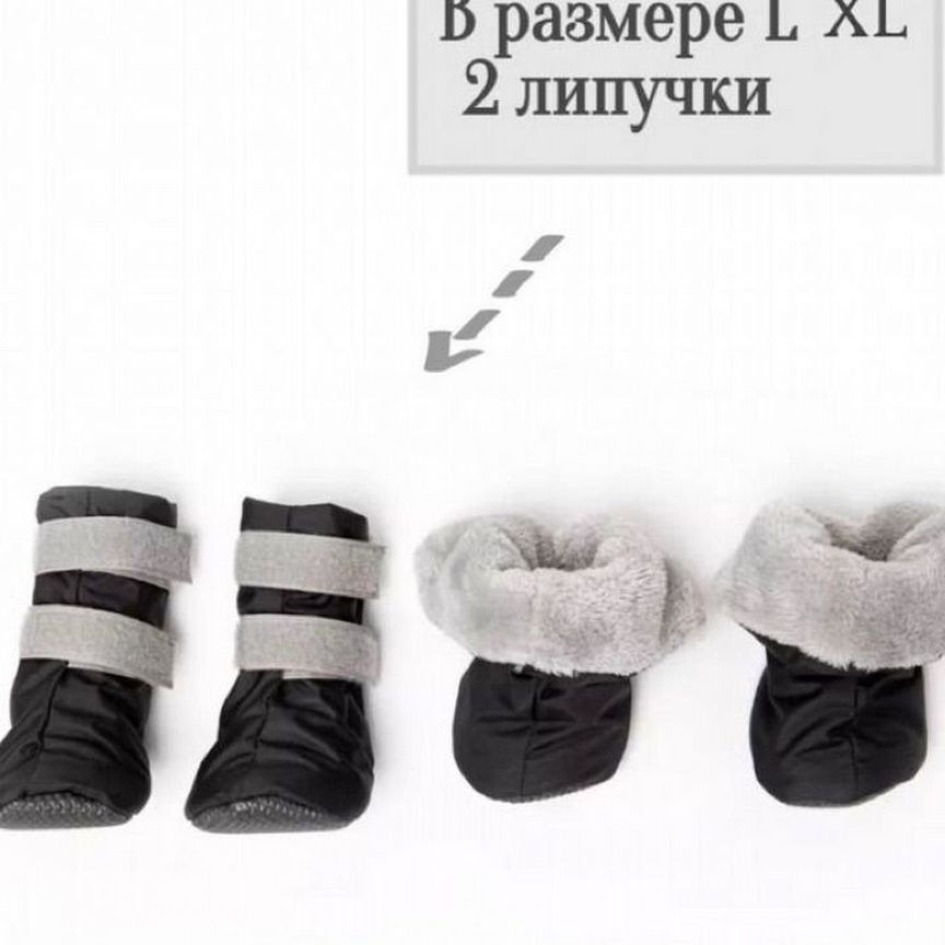 Обувь для собак