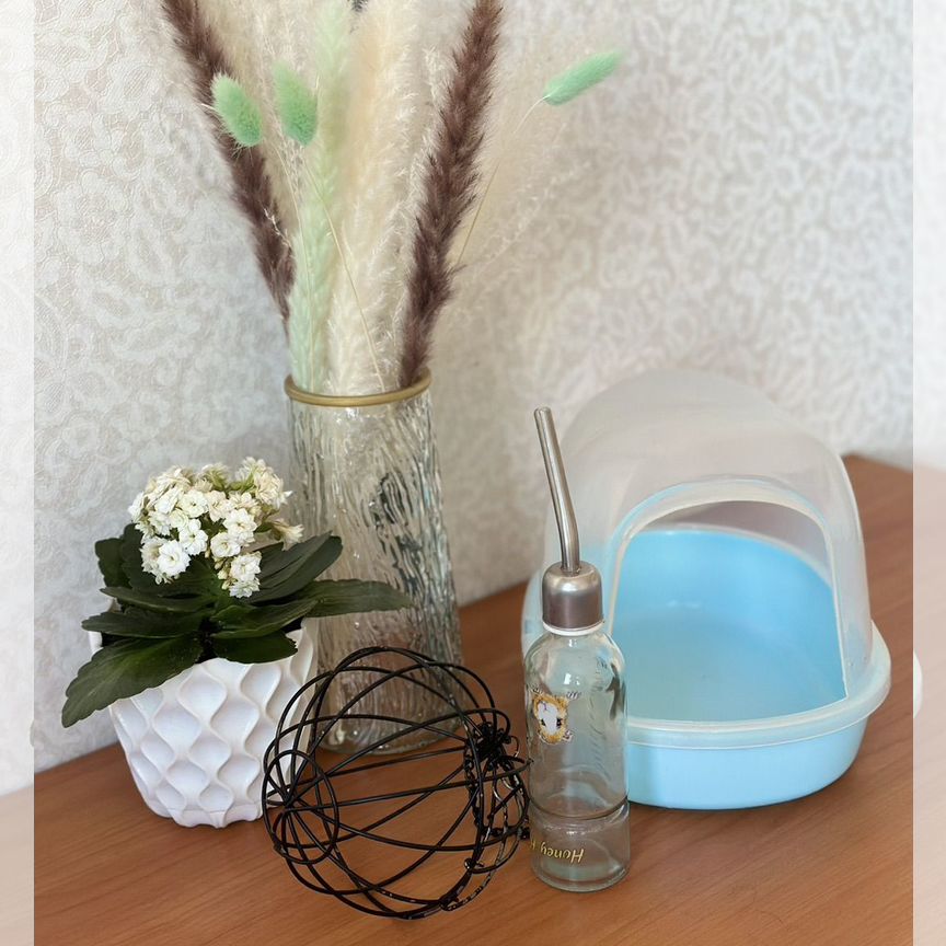 Купалка для шиншилл