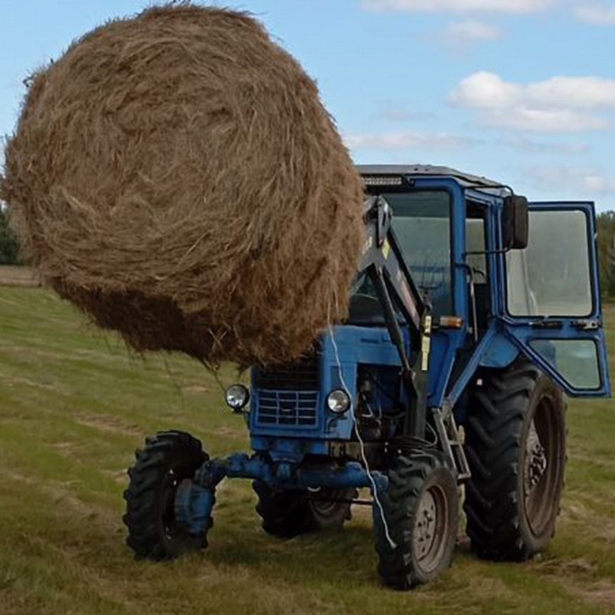 Продам сено в рулонах (2025г)