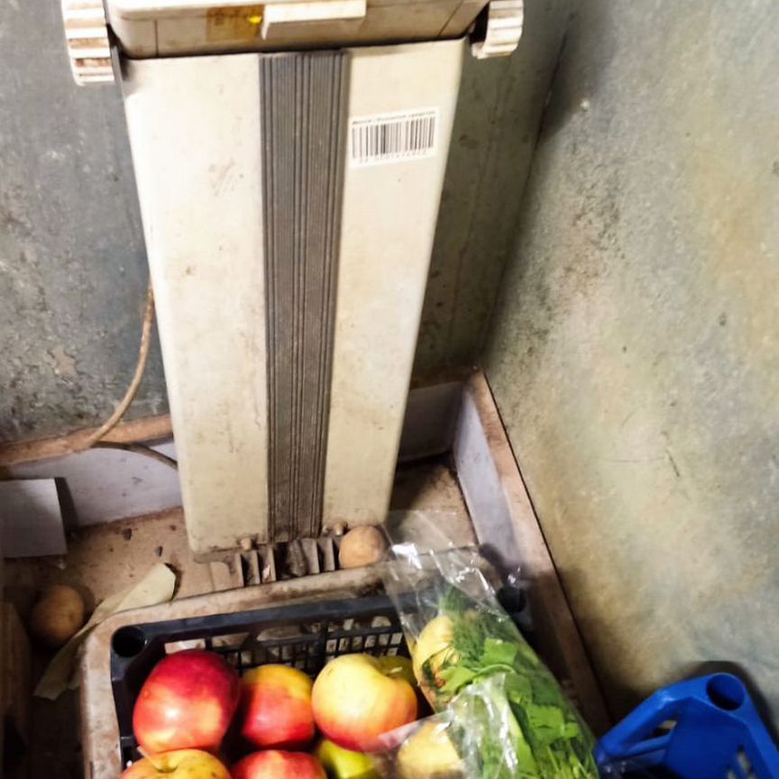 Продукция на корм животным