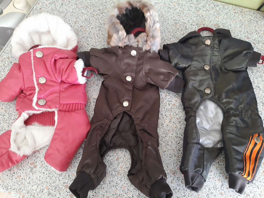 Комбенизоны для собак мелких пород 3 в 1