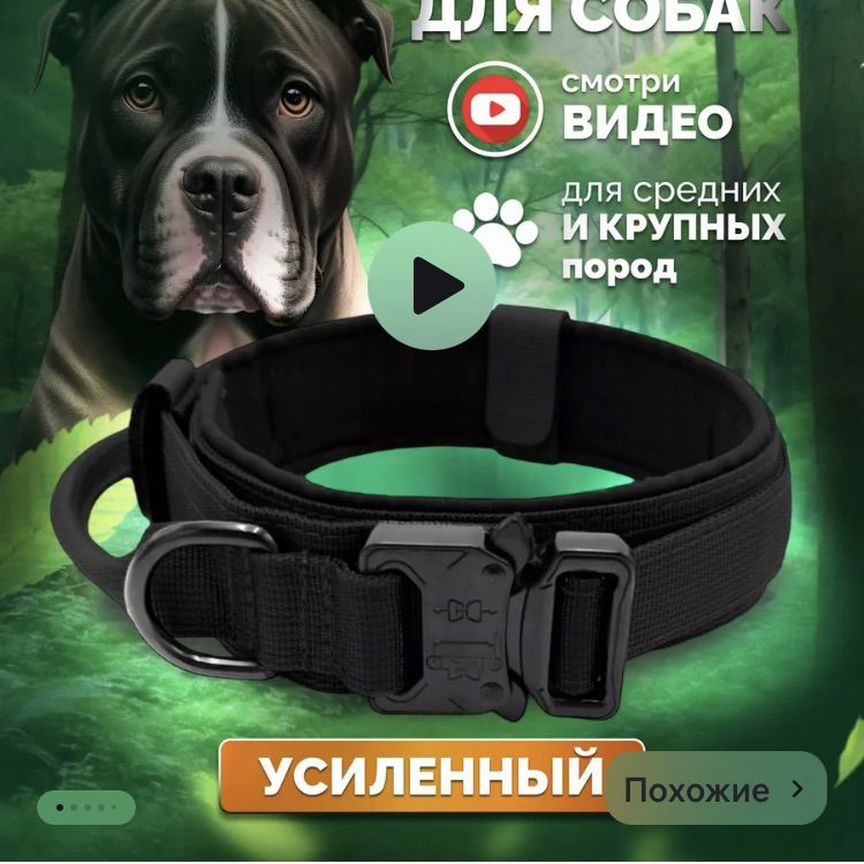 Ошейник для собак