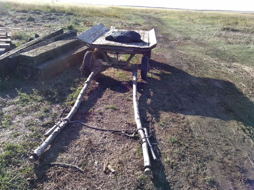 Телега для лошади