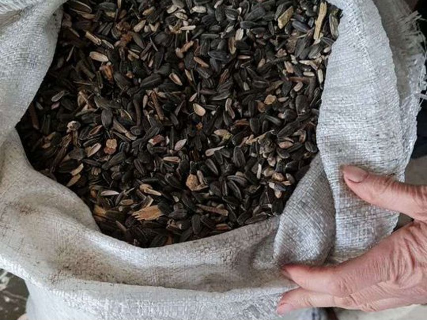 Семечки для птиц