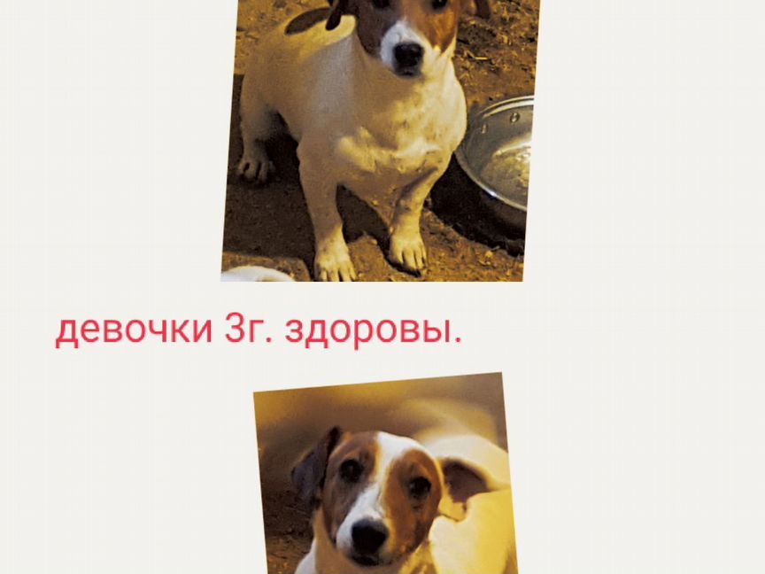 Девочка суперская