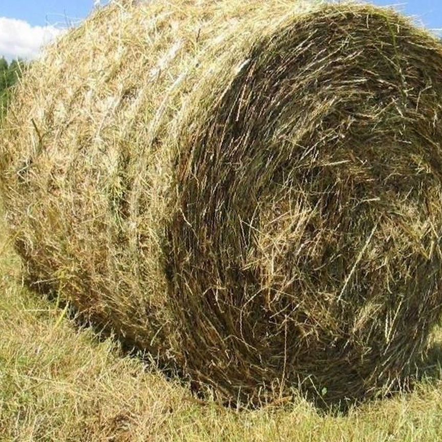 Сено луговое в рулонах