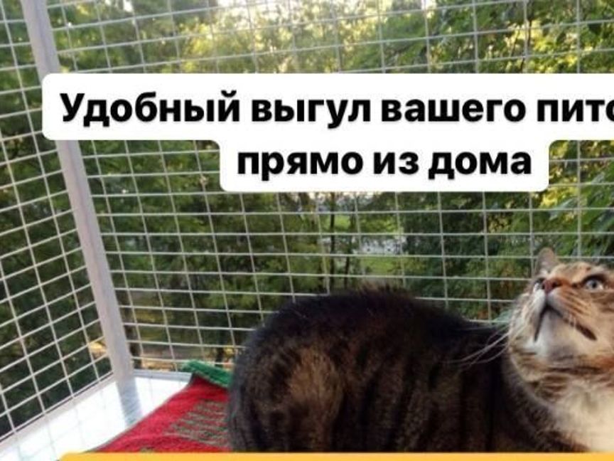 Балкон для кошек