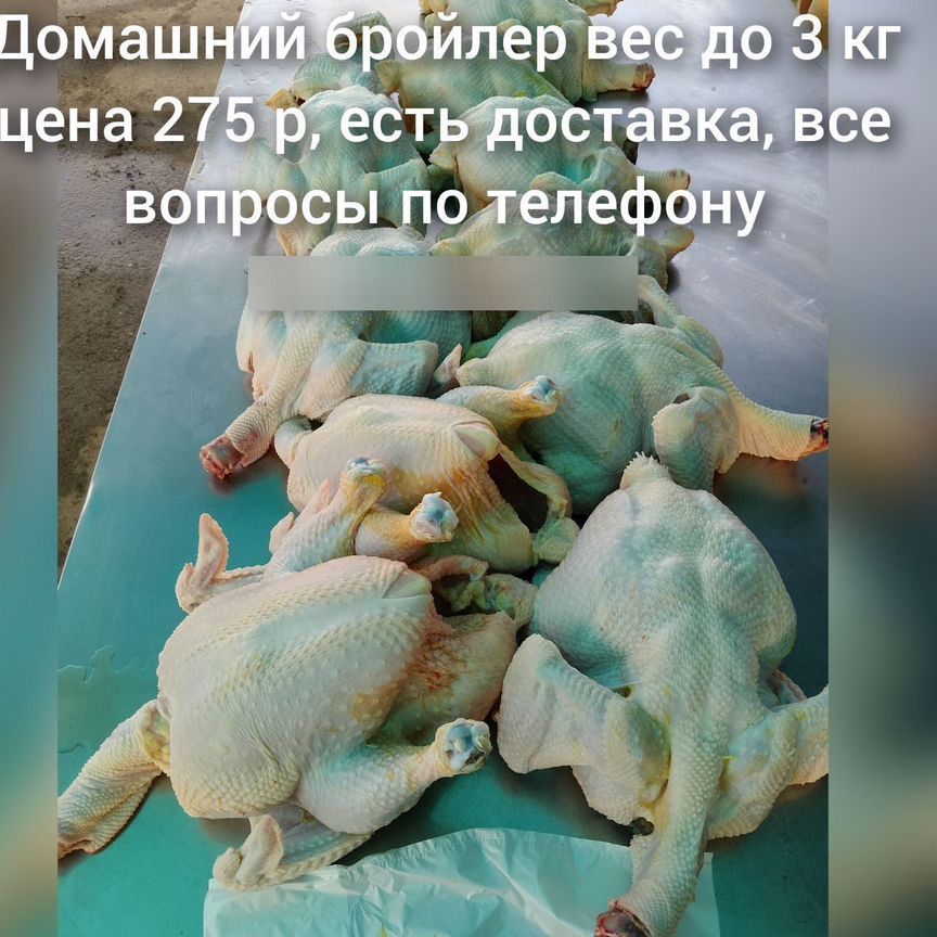 Бройлер