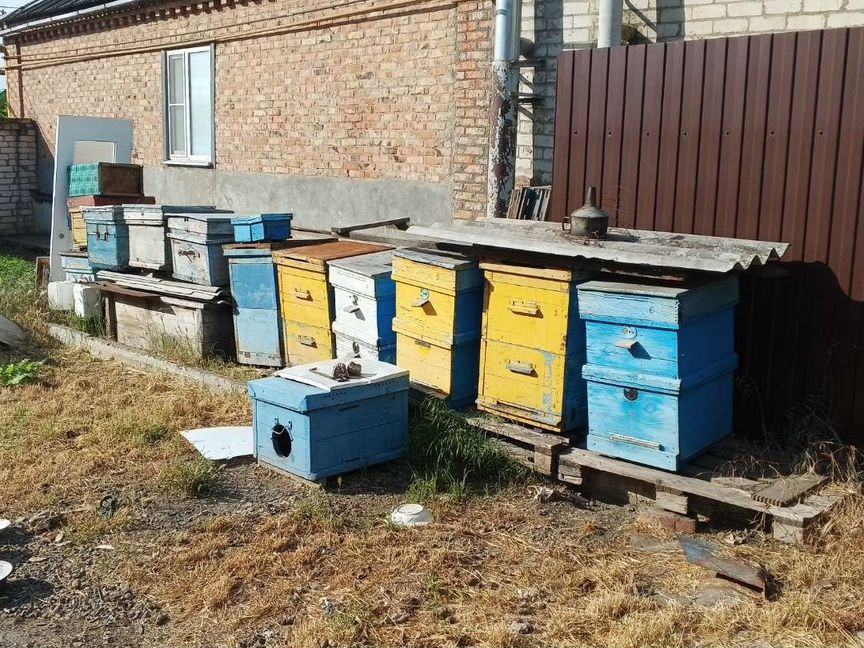 Продам ульи для пчел