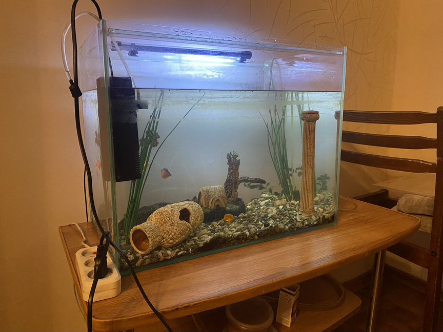 Акариум с рыбками