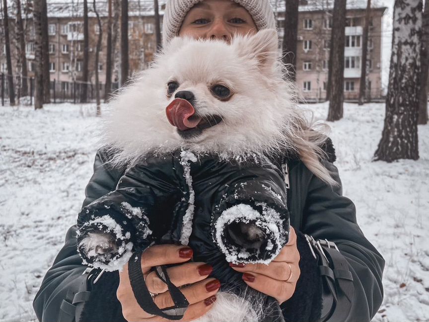 Ищем жениха(Мини) для вязки