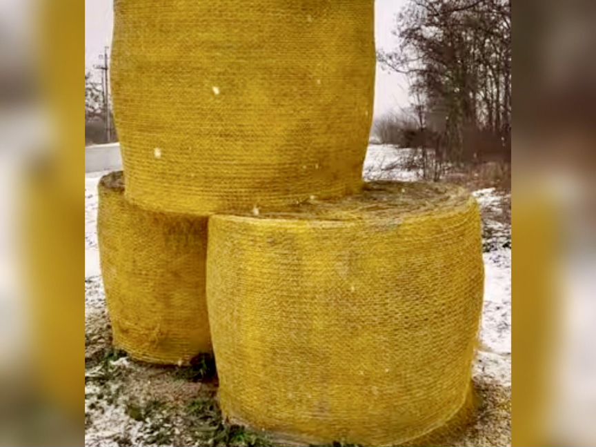 За 3 Рулона Сена