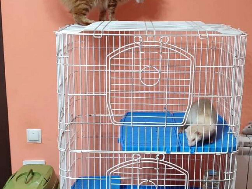 Клетка для грызунов