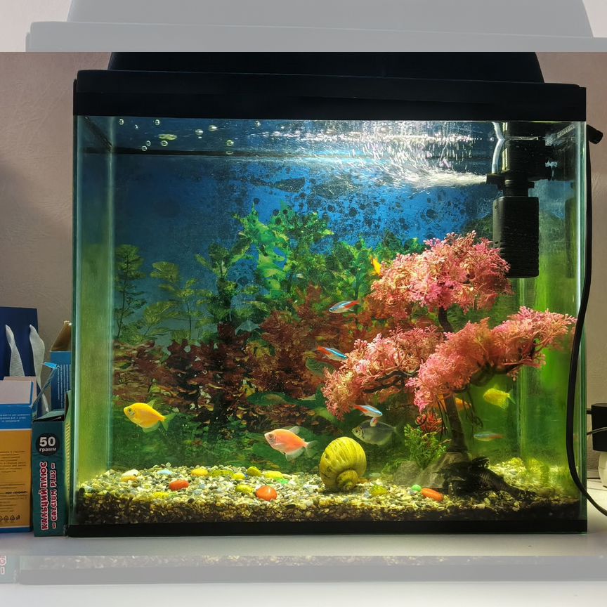 Аквариум с рыбками