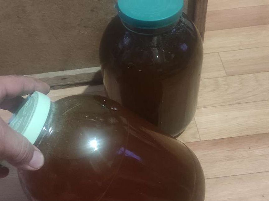 Мед подсолнечный