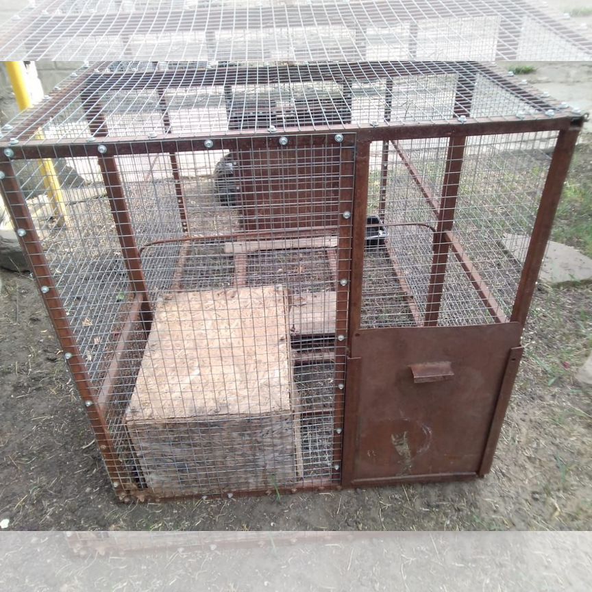 Клетка ловушка