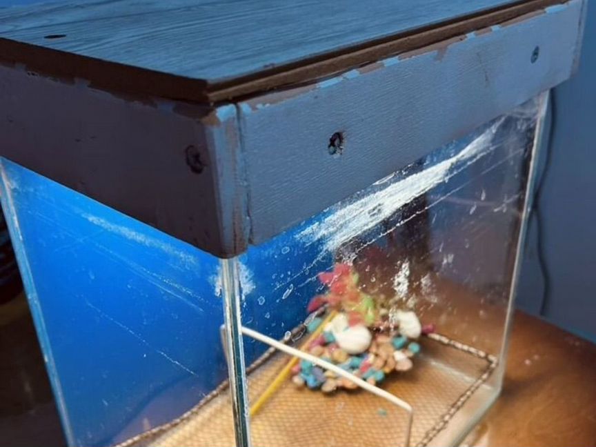 Аквариум для гуппи,мальков