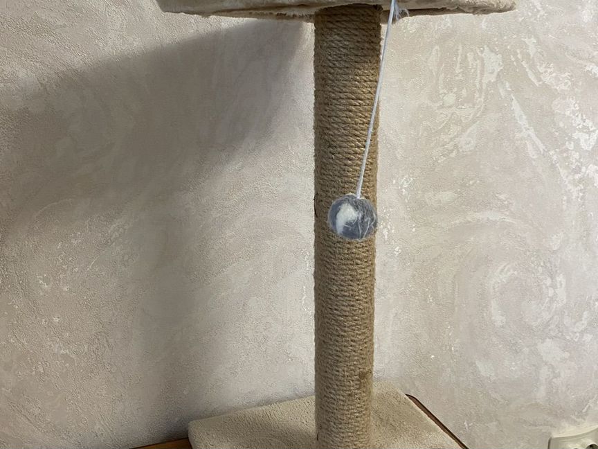 Когтеточка бу