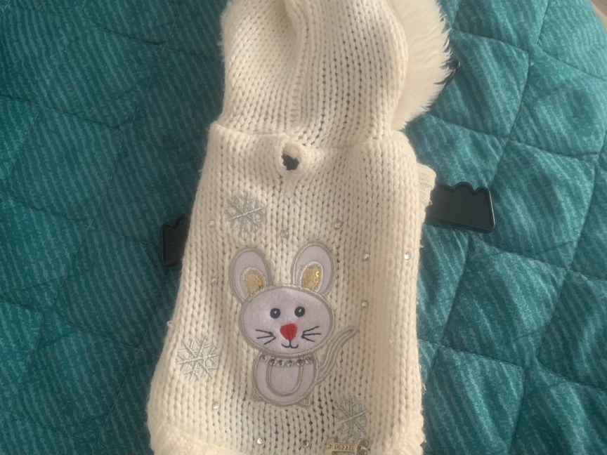 Кофта для сфинкса котенка