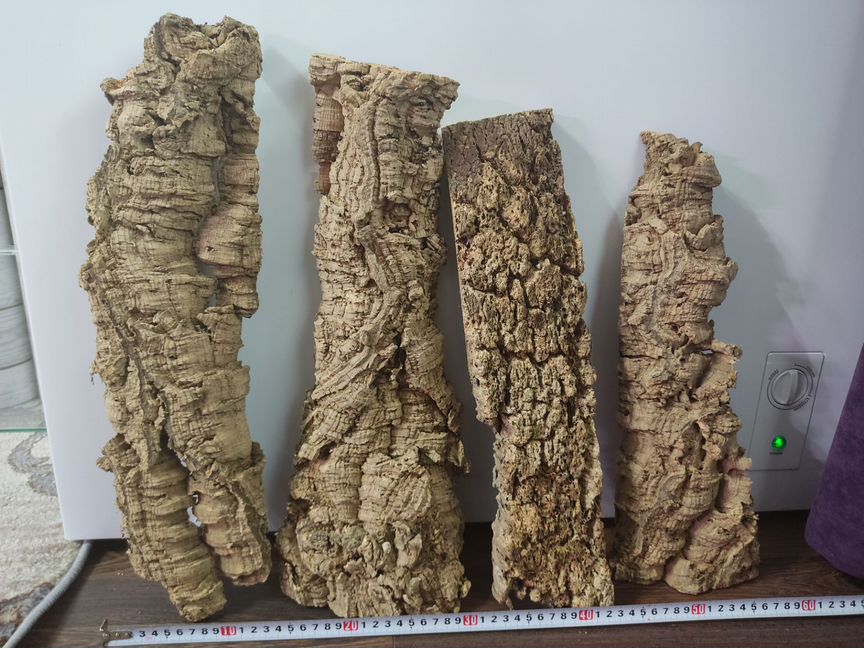 Кора пробкового дуба